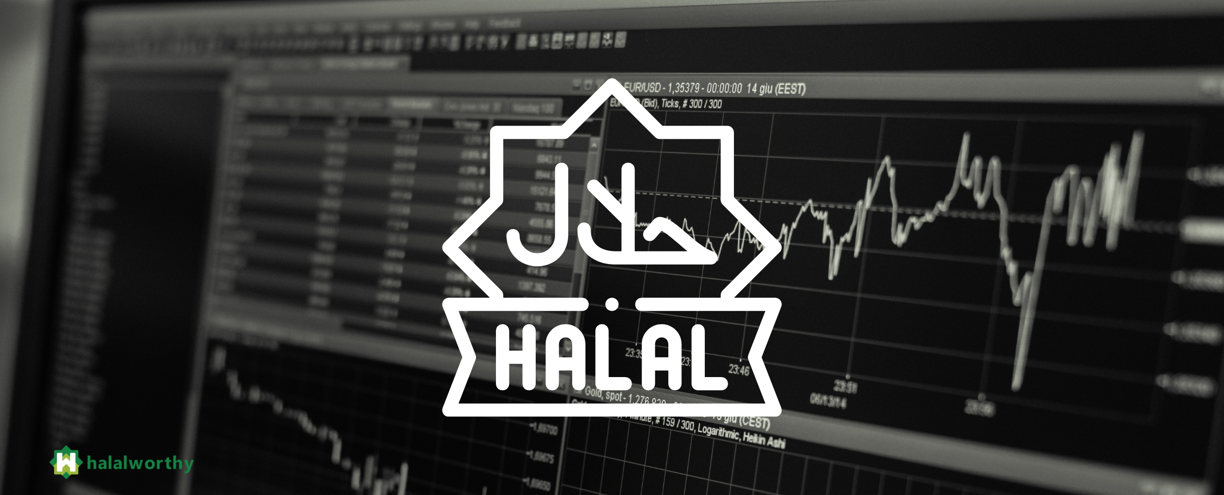 How to check if a stock is Halal or Not? with example!
